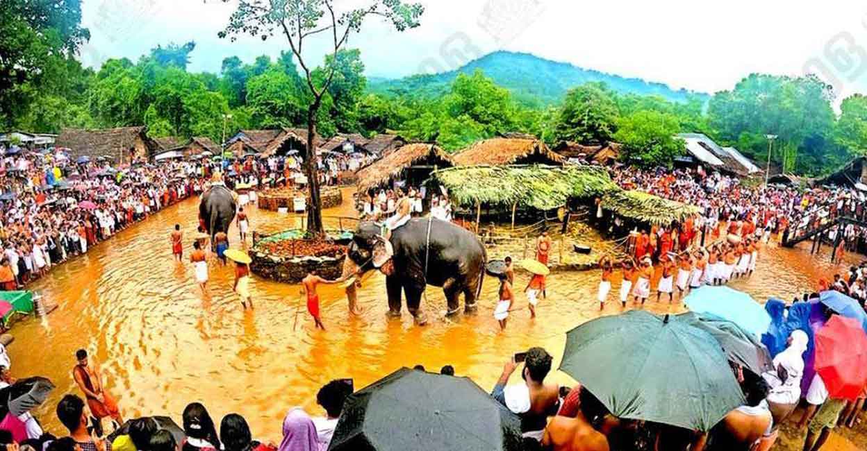 അഭിഷേകത്തിനുള്ള ഇളനീരുകൾ കാവുകളാക്കി വ്രതക്കാർ കൊട്ടിയൂരിലേക്ക്; ഇളനീ ...