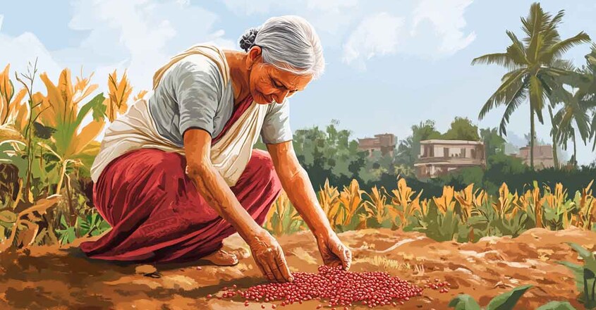 ഗുരുവായൂരപ്പനും മഞ്ചാടിക്കുരുക്കളും | Why Are Manjadi Seeds So Special ...