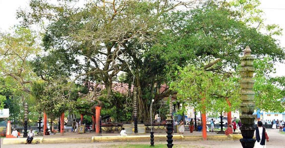 മാടൻപോത്തായെത്തിയ പരബ്രഹ്മം: ആൽമരച്ചുവട്ടിലെ ഓച്ചിറ വല്യച്ഛന്‍- Ochira ...