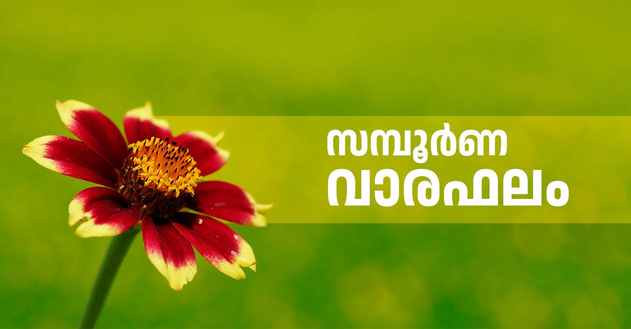 അപ്രതീക്ഷിത നേട്ടങ്ങളുടെ വാരം; ഭാഗ്യത്തേരിൽ 6 കൂറുകാർ, സമ്പൂർണ വാരഫലം ...