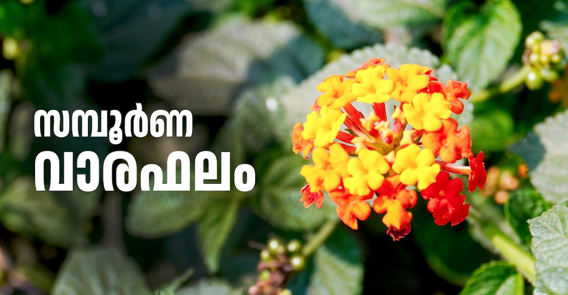 ജനുവരി അവസാനവാരം ഭാഗ്യം ഇവർക്കൊപ്പം സമ്പൂർണ വാരഫലം - Weekly Horoscope ...