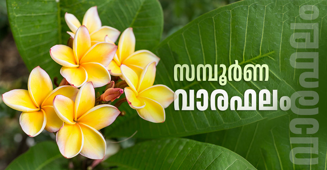 അപ്രതീക്ഷിത നേട്ടങ്ങളുടെ വാരം; ഭാഗ്യത്തേരിൽ 6 കൂറുകാർ, സമ്പൂർണ വാരഫലം ...