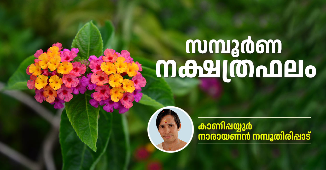 ഈ ആഴ്ച ഓരോ നക്ഷത്രക്കാർക്കും എങ്ങനെ? സമ്പൂർണ നക്ഷത്രഫലം– Weekly ...