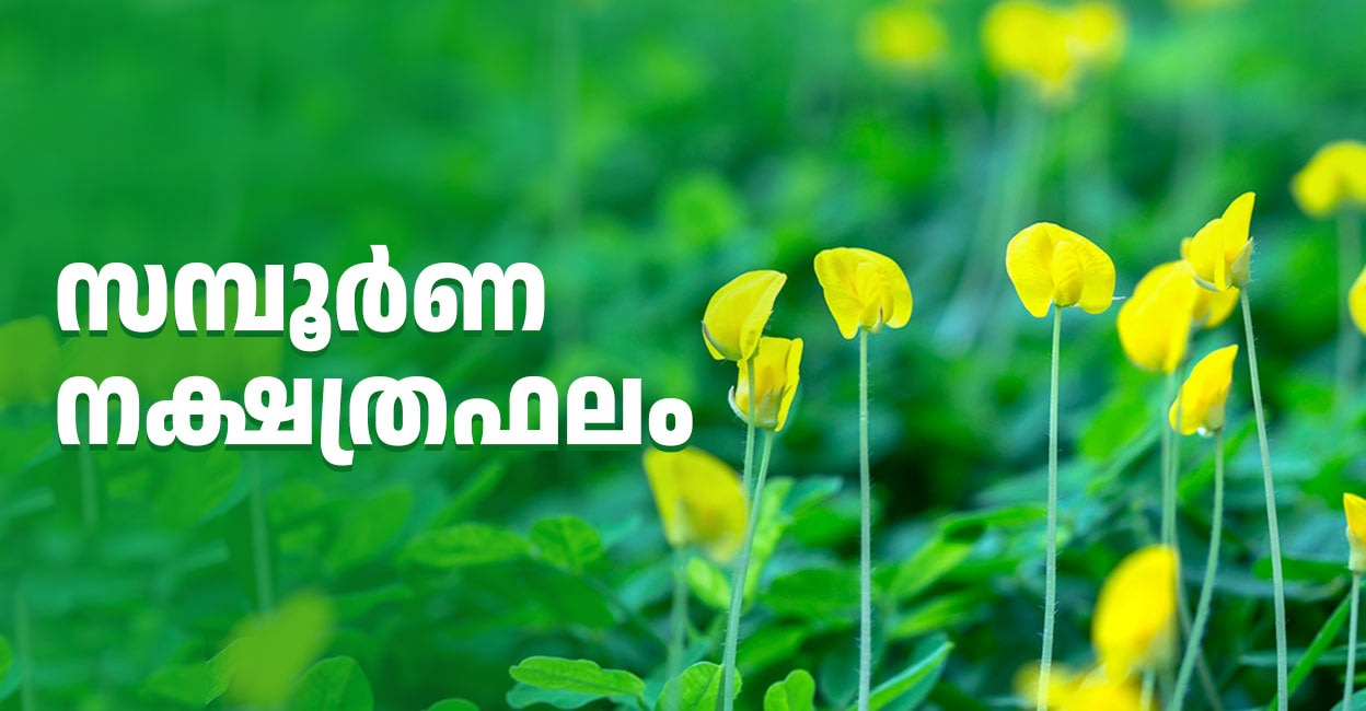 അഭിവൃദ്ധിയിലേക്ക് കുതിച്ച് 9 നക്ഷത്രക്കാർ -Weekly Prediction| ജ്യോതിഷം ...