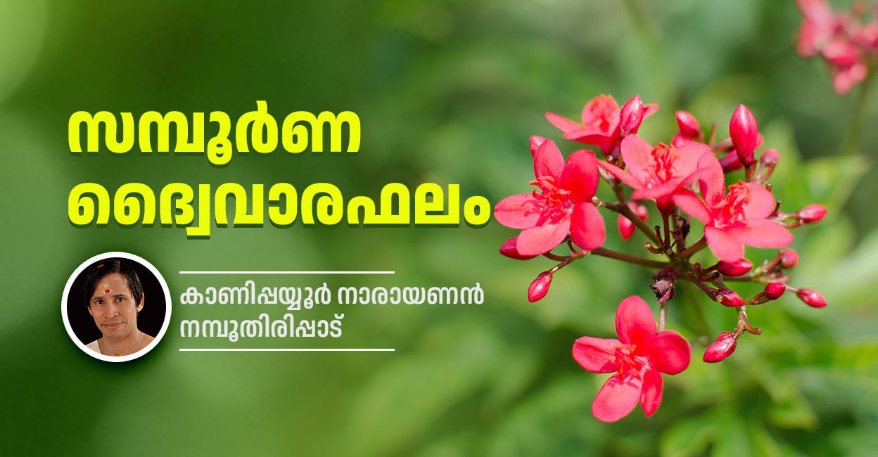 ഭാഗ്യത്തേരിൽ 6 കൂറുകാർ; സമ്പൂർണ ദ്വൈവാര നക്ഷത്രഫലം- Bi Weekly ...