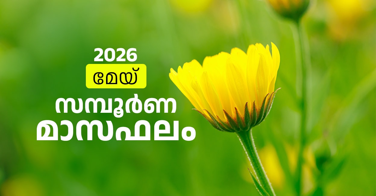 രാജയോഗങ്ങളുടെ തുടക്കം; ഭാഗ്യക്കൊടുമുടിയിലേക്ക് 7 നക്ഷത്രക്കാർ, സമ്പൂ ...