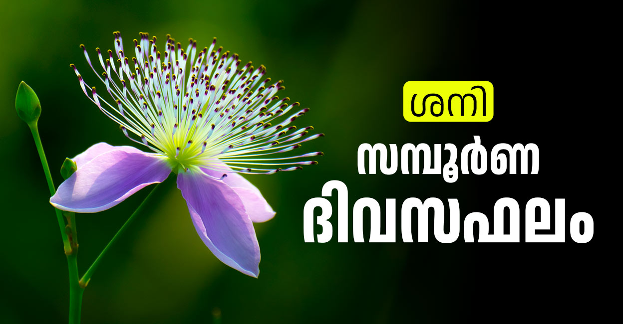 ഇന്നത്തെ നക്ഷത്രഫലം- 13 June 2026 | Daily Horoscope Malayalam | ദിവസഫലം ...