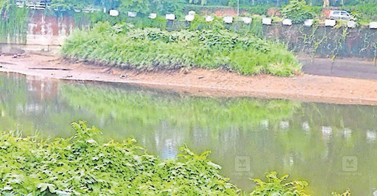അനാസ്ഥയുടെ തുരുത്ത്; ചെറുപുഴ തടയണയിൽ മണൽ അടിഞ്ഞുകൂടി തുരുത്തുക ...