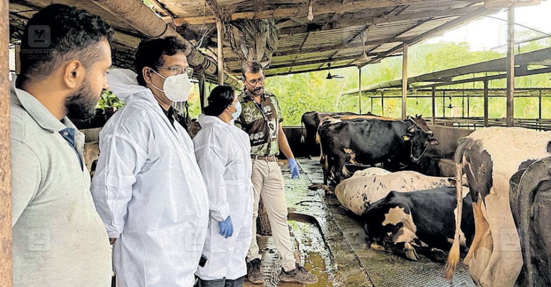 ഡോക്ടർമാർക്കായി കാത്തിരുന്നത് ഒരാഴ്ച; അസുഖം ബാധിച്ച് കിടപ്പിലായിരുന്ന ഗ ...