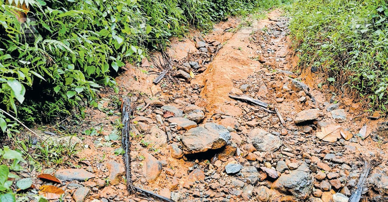 അവഗണന; നമ്പികുളം ടൂറിസം കേന്ദ്രത്തിലേക്കുള്ള റോഡ് തകർന്നു | Naduvannur ...