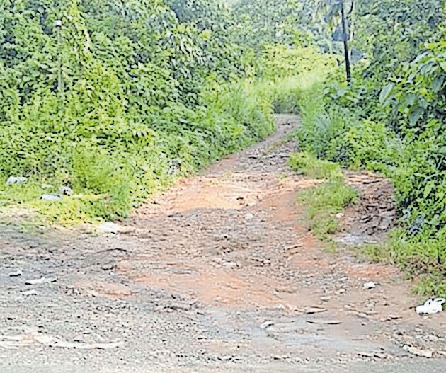 പൂഴിത്തോട്–പടിഞ്ഞാറത്തറ റോഡ് ബദൽ പാത ഇന്നും സ്വപ്നം മാത്രം; പാതയ്ക്ക് ...