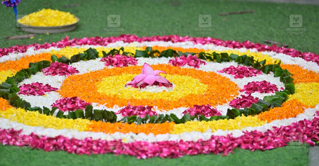 ഹയർ സെക്കൻഡറിക്കാർക്കായി ഇതാ, പാലക്കാട് ജില്ലയിലെ ഏറ്റവും വലിയ ...