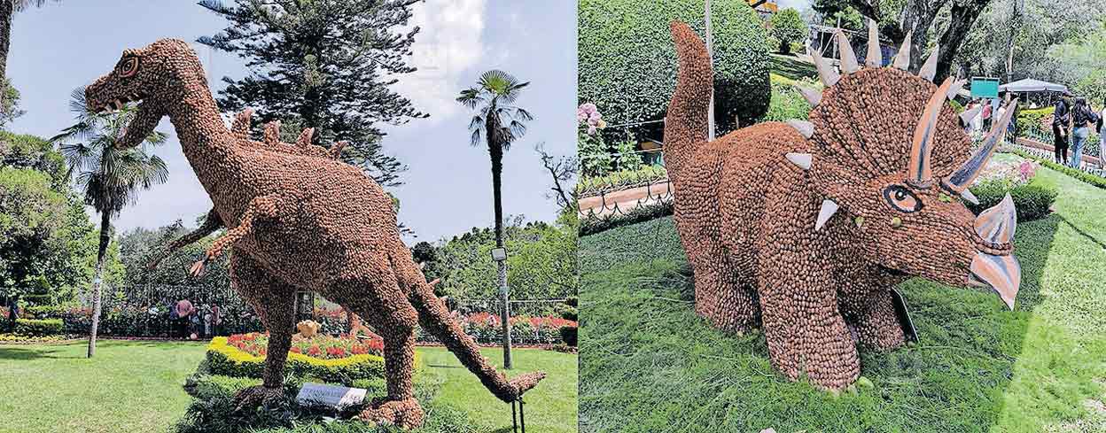 ഒരു ടൺ ഈന്തപ്പഴത്തിൽ ഒരുക്കിയ ദിനോസർ കൗതുകമായി; കൂനൂർ പഴം മേള തുടങ്ങി ...