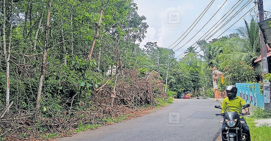 ‘നോക്കി പരിപാലിക്കുന്നതാണ്, വെട്ടുമ്പോൾ നോവും സാറേ...’: കരുണയില്ലാത്ത ...