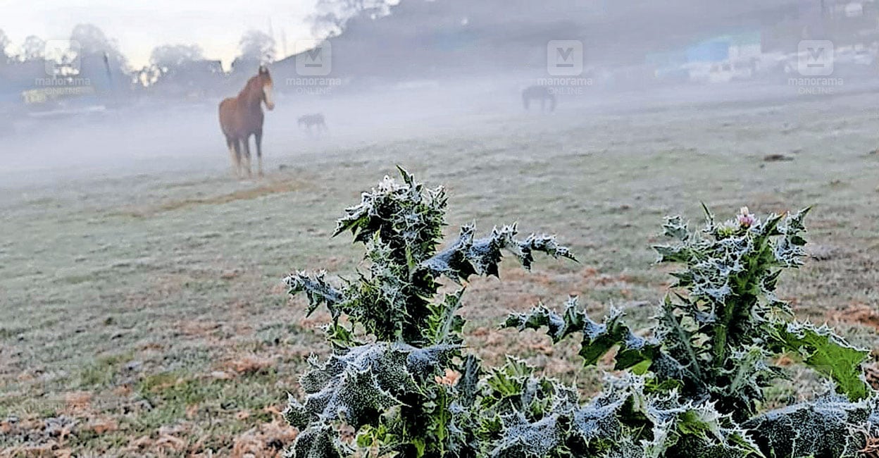 പൂജ്യം ഡിഗ്രി തണുപ്പിൽ ഊട്ടി; വരും ദിവസങ്ങളിൽ മഞ്ഞു വീഴ്ച കൂടും | Ooty ...