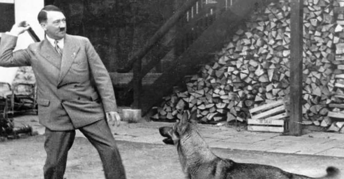 ലോകത്തെ ഏറ്റവും പ്രശസ്തമായ ജർമൻ ഷെപ്പേഡ്! ഹിറ്റ്‌ലർ വിഷം കൊടുത്തുകൊന്ന ...