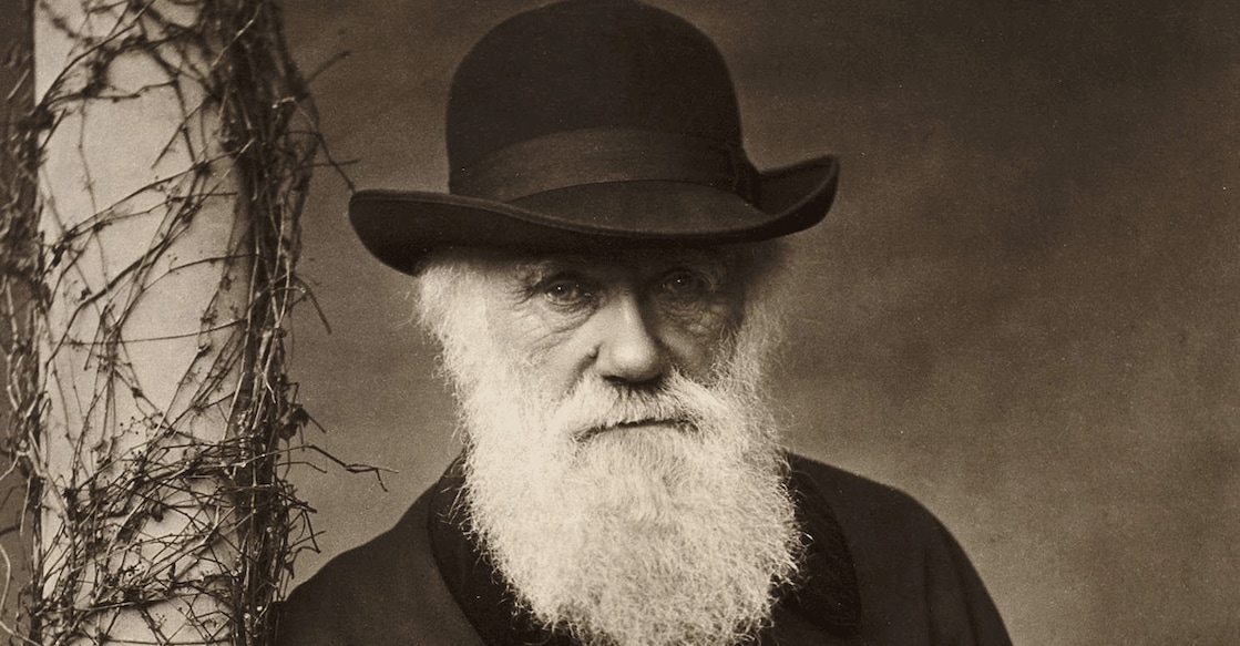 250ൽ ഏറെ സ്പീഷീസുകൾക്കു പേരുകിട്ടിയത് ഇദ്ദേഹത്തിൽനിന്ന്: പലജീവികളെ ...