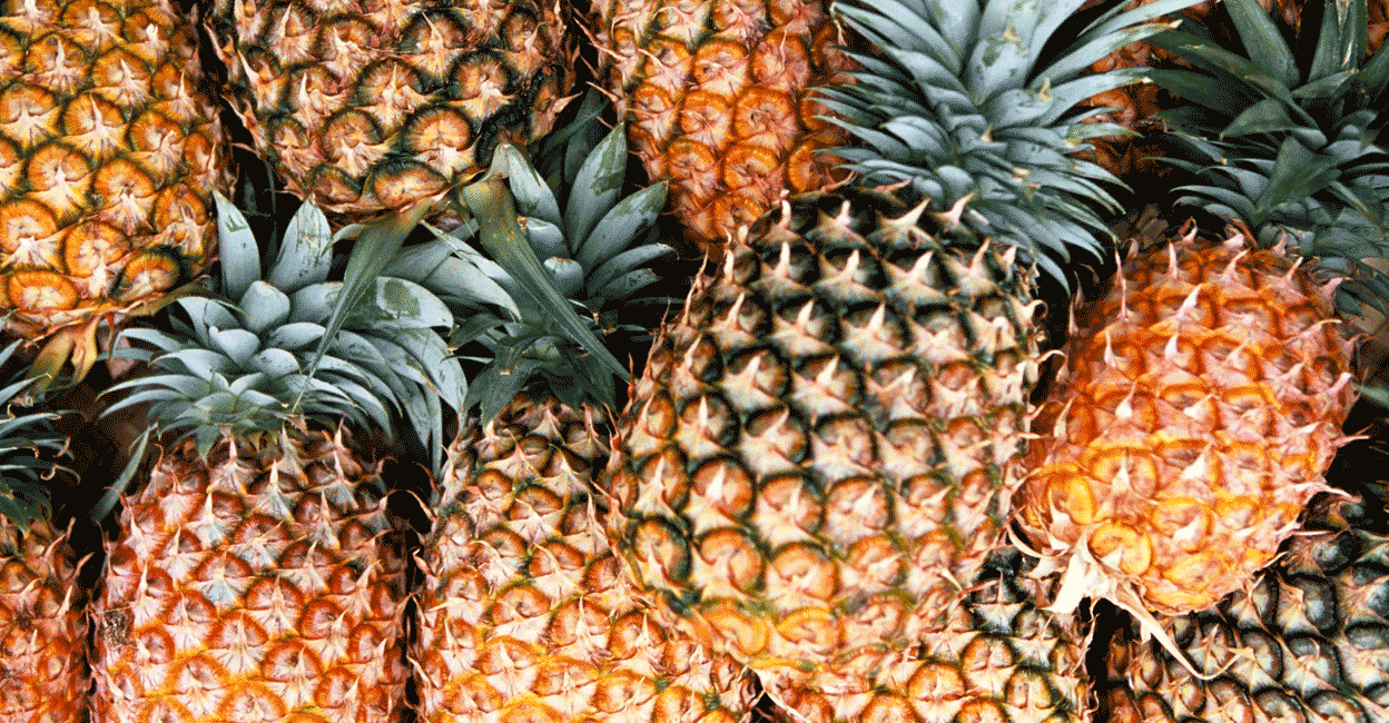 8.28 കിലോ ഭാരം! ഇതാണ് ലോകത്തെ ഏറ്റവും ഭാരമേറിയ കടച്ചക്ക, വിളഞ്ഞത് ഓസ്ട്രേലിയയിൽ-Australia ...