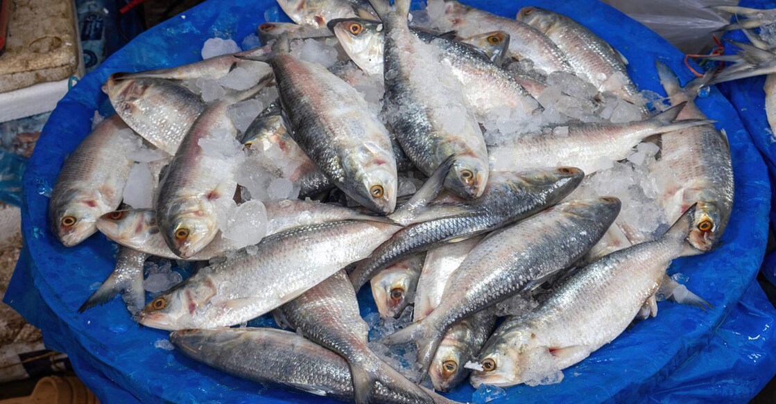 നിലവിൽ കടൽ മത്സ്യം കഴിക്കാമോ? ഭക്ഷ്യയോഗ്യമോ അല്ലയോ എന്ന് ജനങ്ങൾ എങ്ങനെ ...