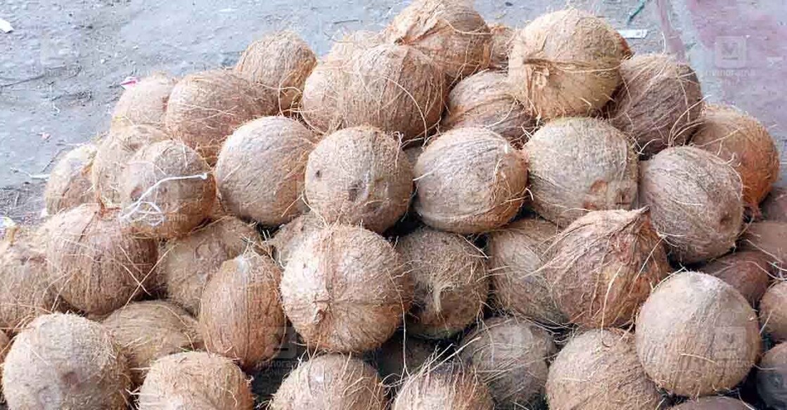 തേങ്ങയ്‌ക്ക്‌ ആവശ്യക്കാർ കൂടി, കൊപ്ര വില കൂടി; പ്രതീക്ഷയോടെ കുരുമുളക് ...