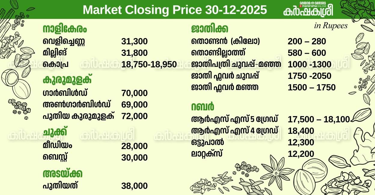 തമിഴ്‌നാട്ടിൽ കൊപ്ര വില ഉയർന്നു, കേരളത്തിൽ മാറ്റമില്ല; റബറിനും ...