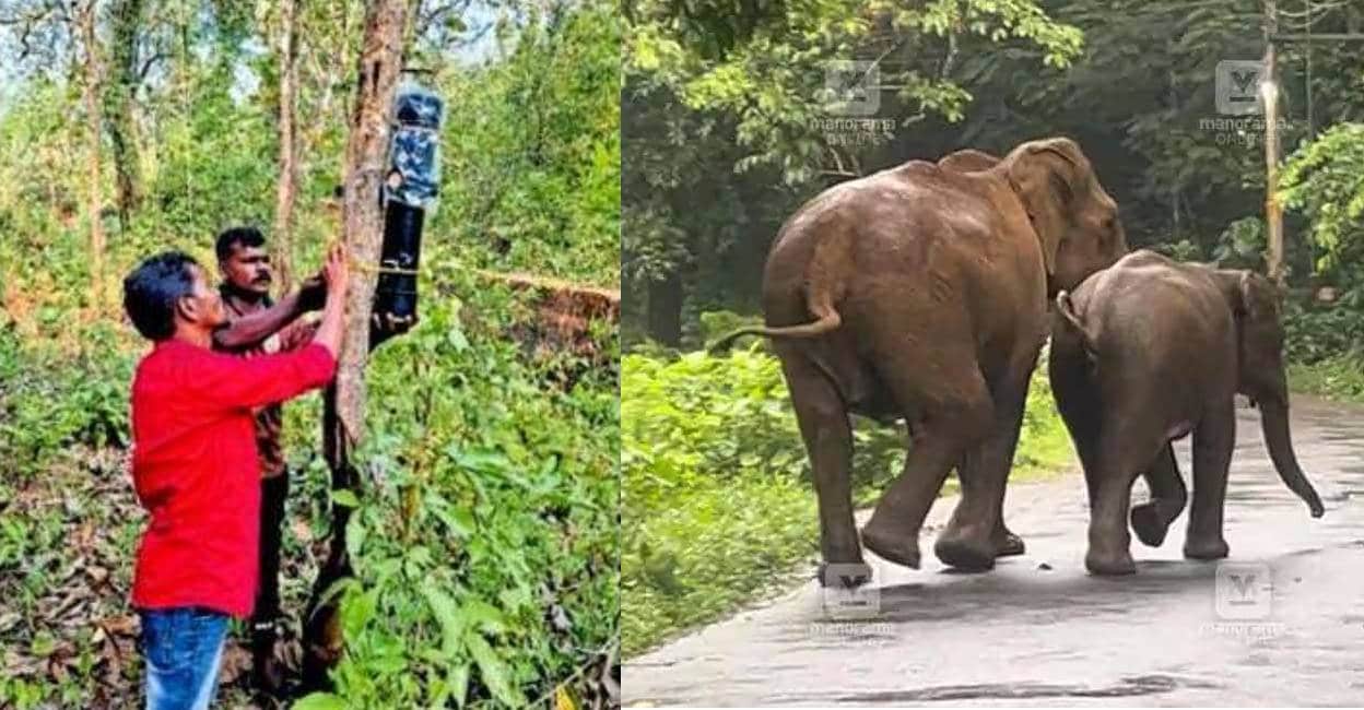 കണ്ണ് തുളയ്ക്കുന്ന പ്രകാശം, പേടിപ്പെടുത്തും ശബ്ദം, ഈ യന്ത്രമുണ്ടെങ്കി ...