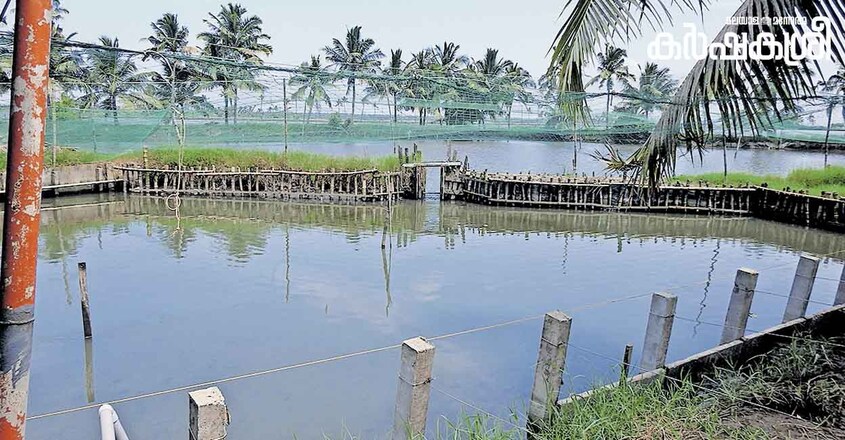 ആനന്ദ് മഹീന്ദ്രയുടെ വരവ് കടമക്കുടിയെ മാറ്റിമറിക്കും, മുന്നിലുള്ളത് ...