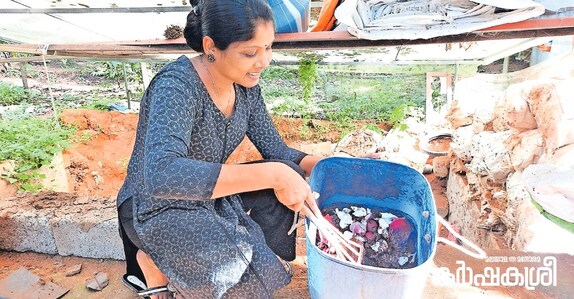 മഞ്ജു പറയുന്നു... ഒരു രൂപ പോലും ചെലവില്ലാതെ കോഴിയെ വളർത്താം; ദിവസവും ...