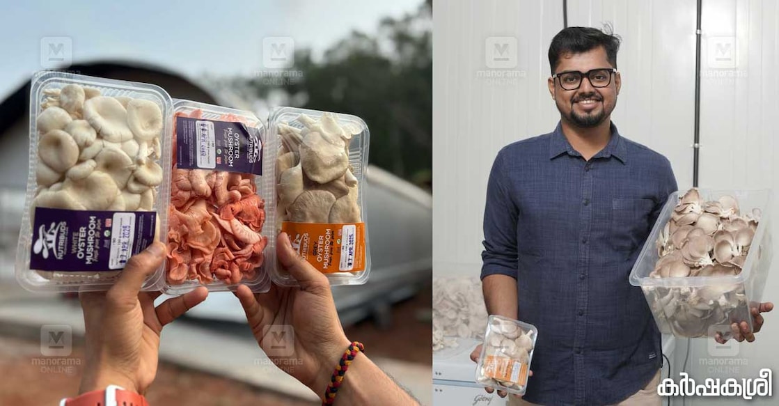 കേന്ദ്ര സർക്കാരിന്റെ 1.07 കോടി രൂപ; റബർത്തോട്ടം വാങ്ങി കൂൺ കൃഷി; ദേ ...