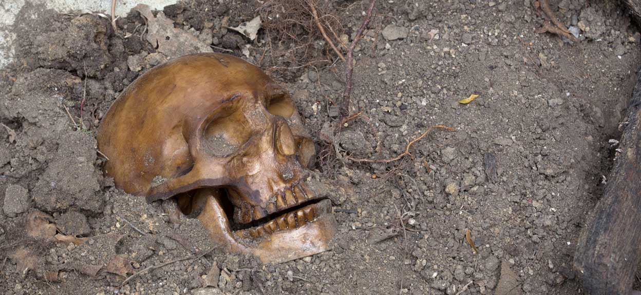 ഹാർബിനിലെ കിണറ്റിൽ കണ്ട അദ്ഭുത തലയോട്ടി! ഇതു ദുരൂഹവാതിൽ തുറക്കുന്ന ...