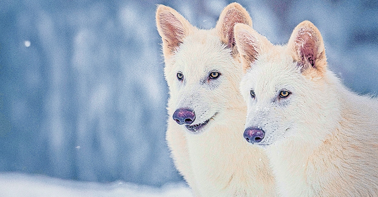 ശാസ്ത്രം 2025 - Science 2025 | Scientific Breakthroughs | Technology ...