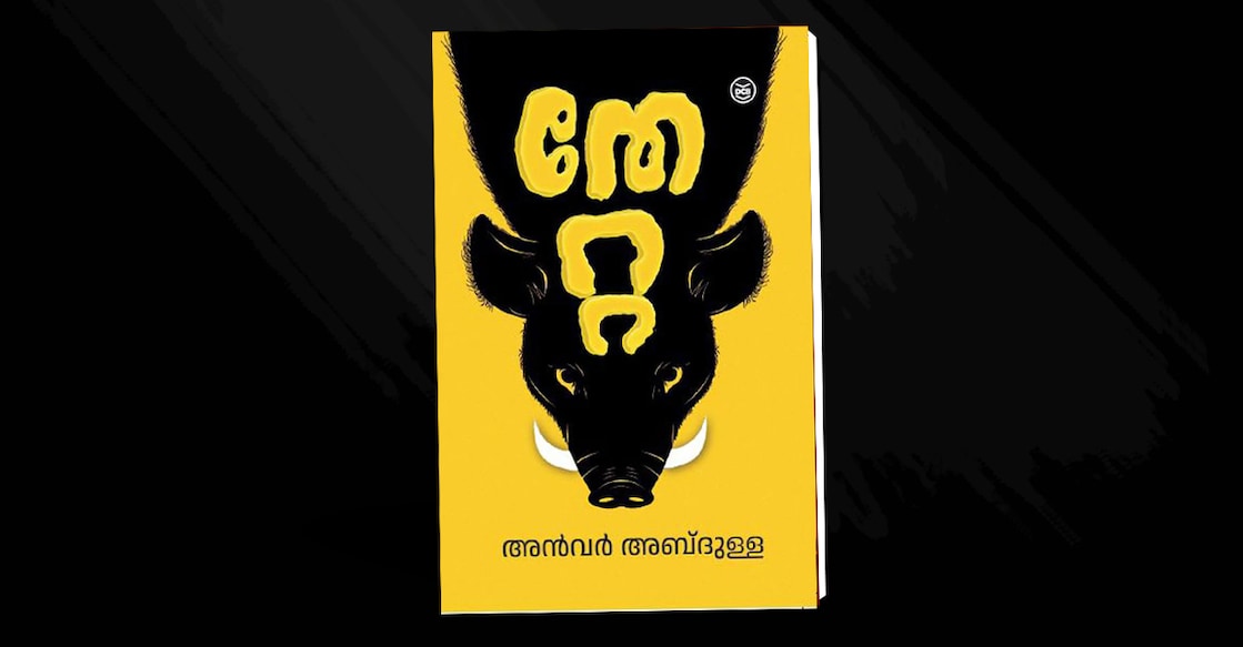 ഒരു നാട്ടിൽ രണ്ടു ഭ്രാന്തൻമാരേയുള്ളൂ, അവർ പരസ്പരം ...