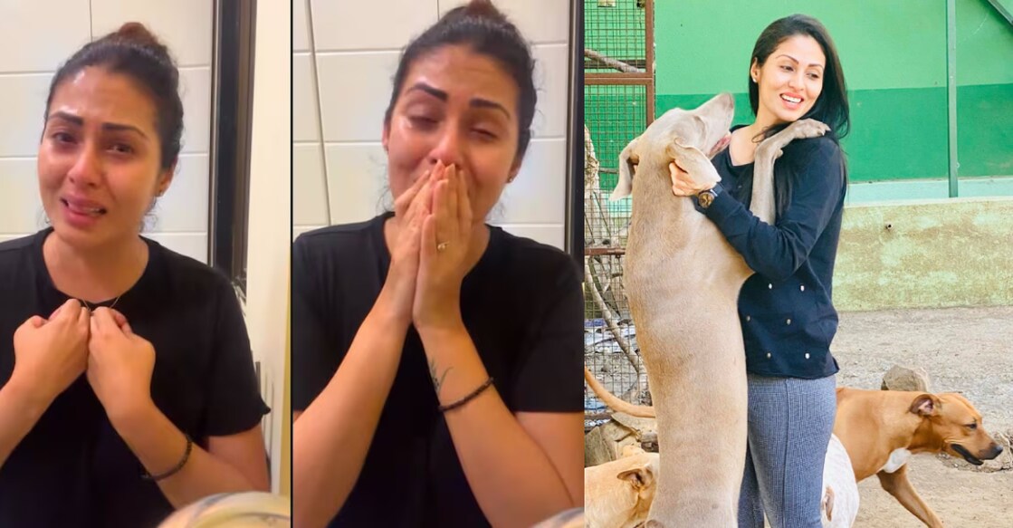 ‘കടിക്കുന്നെങ്കിൽ കാരണമുണ്ട്, നായ്ക്കളോട് എങ്ങനെ പെരുമാറണമെന്ന് ...