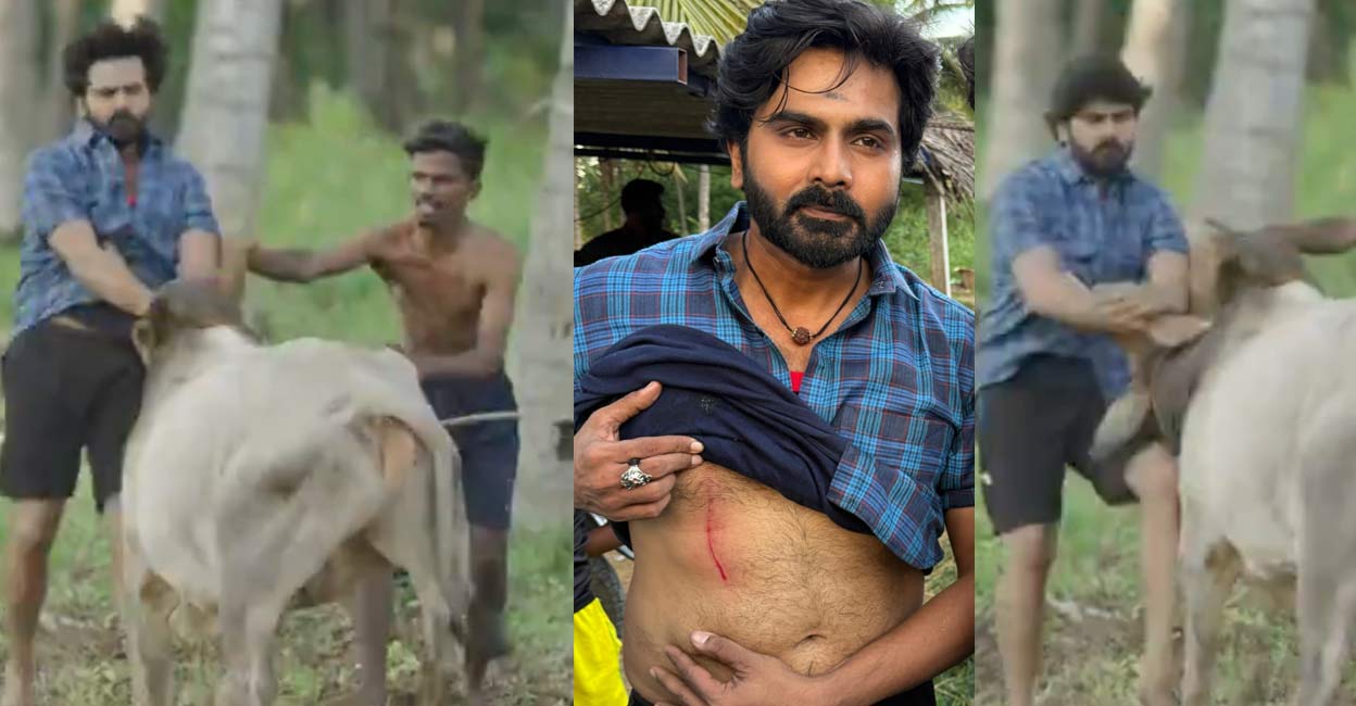 ചിത്രീകരണത്തിനിടെ കാളയുടെ കുത്തേറ്റ് നടന്‍ അശോക് കുമാറിന് പരുക്ക് ...