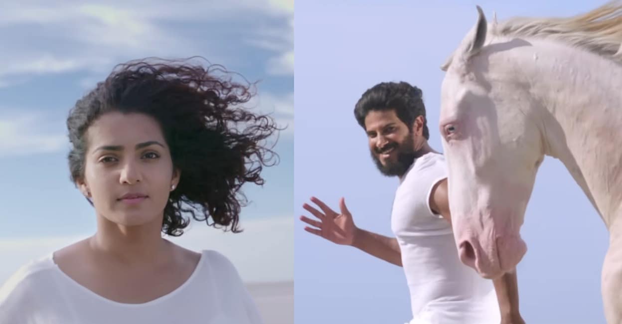 കാറ്റുപോലെ, കടലുപോലെ ചിലർ; ടെസ കാത്തിരുന്ന ചാർലി മാജിക് | Charlie movie ...