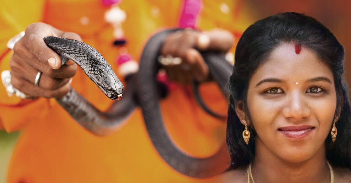 പൊലീസ് സേനകൾക്ക് റഫറൻസായി ഉത്ര കേസ്‌- Uthra Murder Case | Snakebite ...