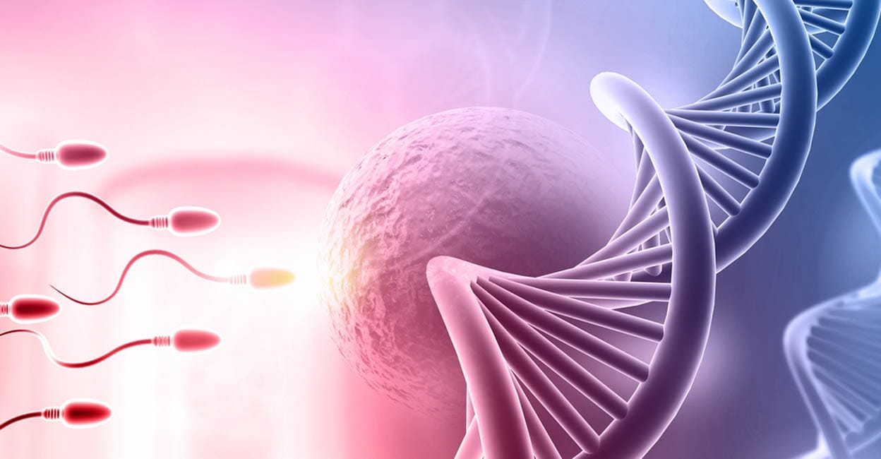 ഗർഭസ്ഥ ശിശുവിന്റെ ഡിഎൻഎ: കോശ പരിശോധന അനിവാര്യം | മനോരമ ഓൺലൈൻ ന്യൂസ് ...