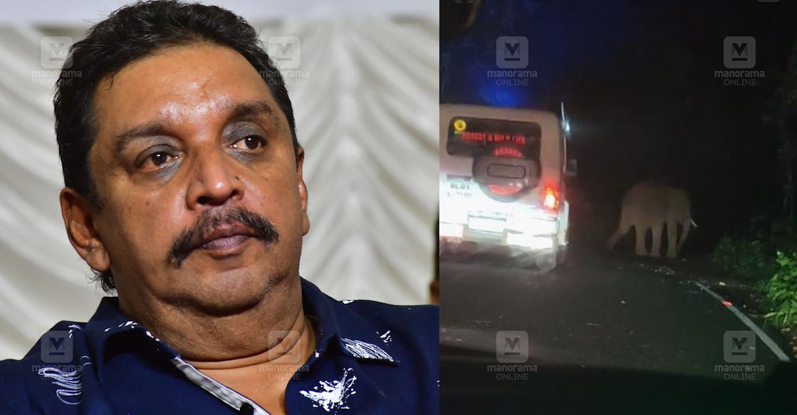കാട്ടാന ആക്രമണം പരിശോധിക്കാനെത്തി വനം മന്ത്രി ഷിബു; വഴി തടഞ്ഞ് കാട്ടാന ...