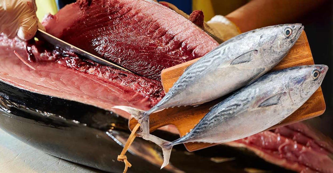 ചൂര മീനിന്റെ ആ കറുത്ത ഭാഗം ശ്രദ്ധിച്ചിട്ടുണ്ടോ? നിങ്ങള്‍ ഇത് കഴിച്ചാ ...