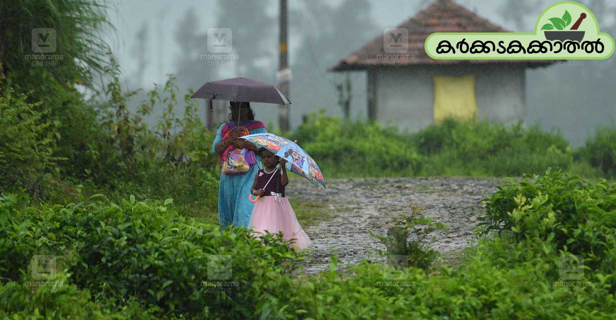 ആയുർവേദവും പറയുന്നു; കേരളത്തിനു യോജിച്ചത് മണ്‍സൂൺ വെക്കേഷൻ | മനോരമ ഓൺലൈ ...