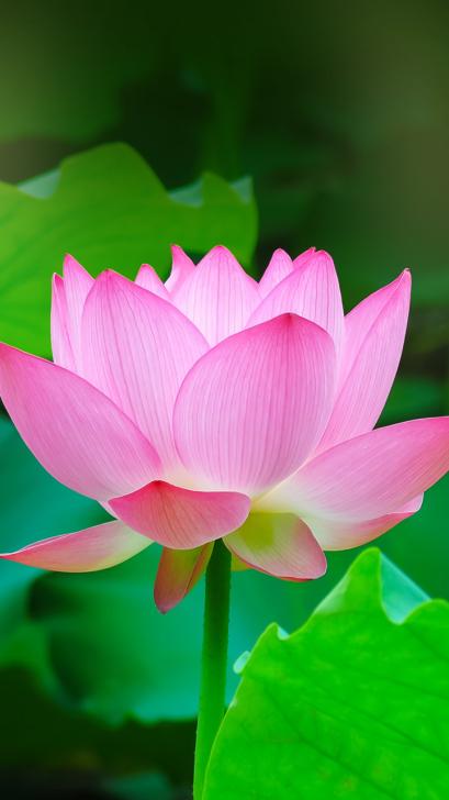 23 ജൂലൈ 2025 - ദിവസഫലം | Short Videos | Bitesize Videos | Compact Clips ...