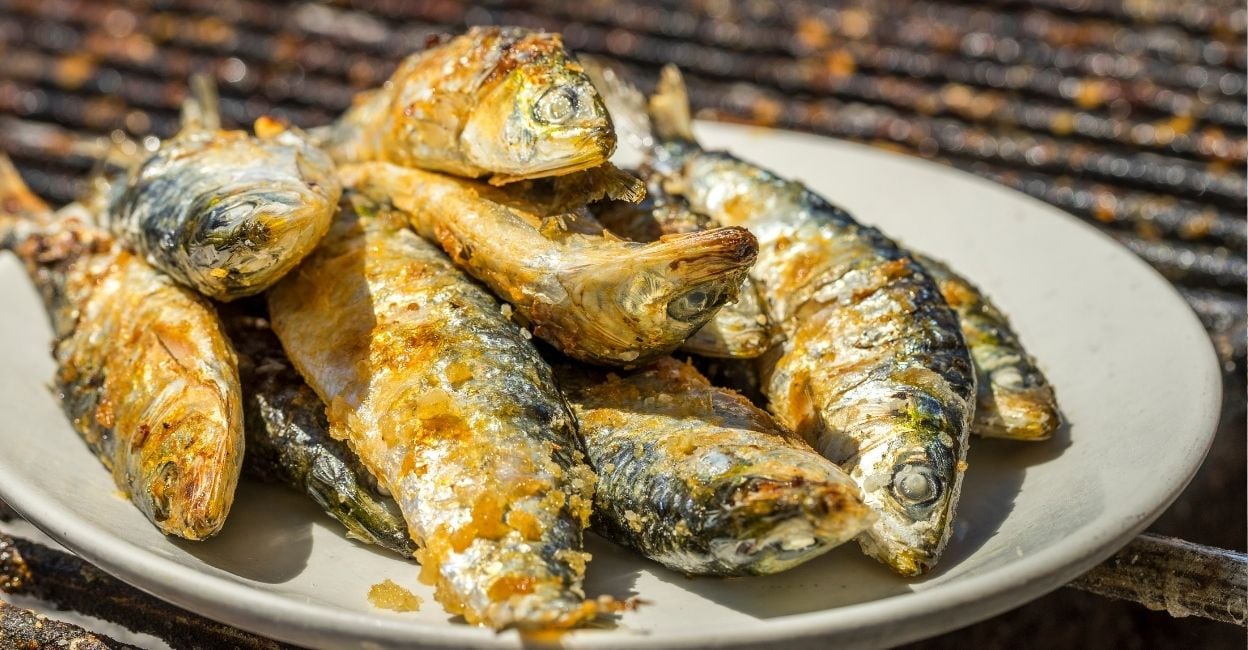 യുദ്ധം തോൽപ്പിച്ച മത്തിസാർ ആള് നിസ്സാരക്കാരനല്ല, ടിന്നുകളിൽ വയറിളക്ക ...