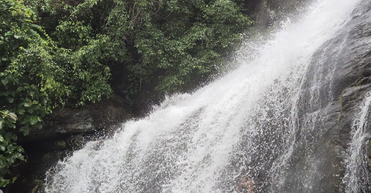 മഴ കനത്തു; നിറഞ്ഞൊഴുകി അരീക്കൽ വെള്ളച്ചാട്ടം - അരീക്കൽ | വെള്ളച്ചാട്ടം | എറണാകുളം | യാത്ര ...