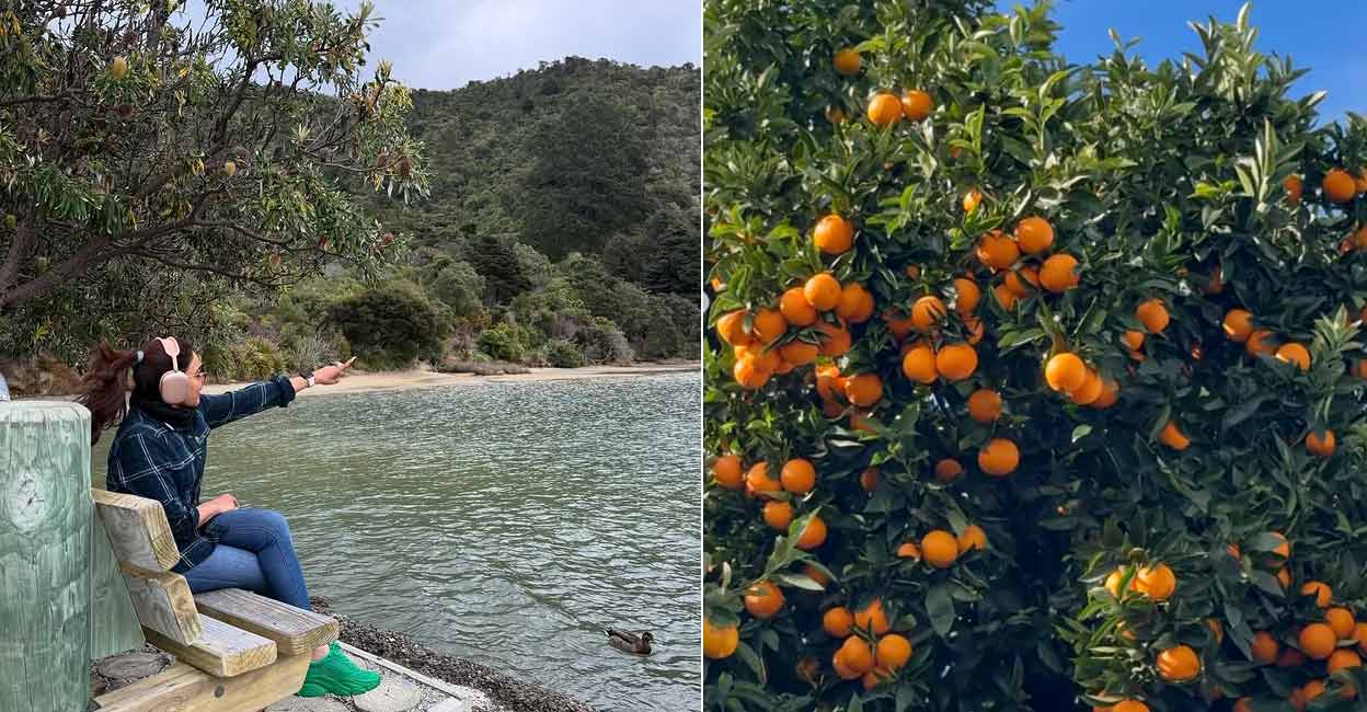 ദേ അങ്ങോട്ട് നോക്കിക്കെ ഒരു ഓറഞ്ച് മരം’’...; റിമി ടോമിയുടെ യാത്രയിലെ കാഴ്ചകൾ – Rimi Tomy's New ...