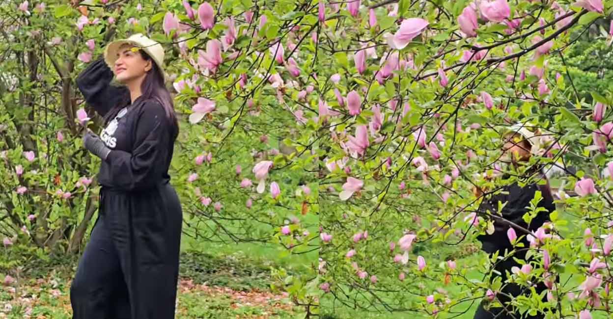 മാഗ്നോളിയ പൂക്കളേക്കാൾ മനോഹരി; ഹണി റോസിന്‍റെ വെക്കേഷൻ – Honey Rose's ...