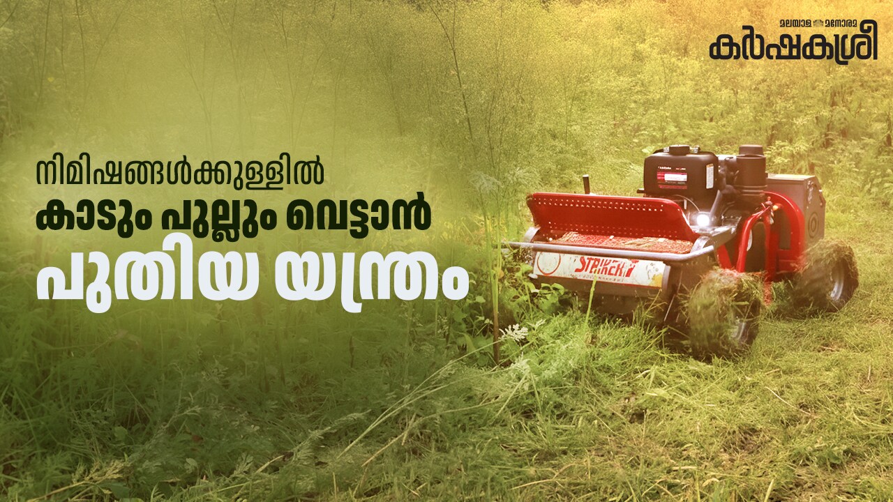 നിമിഷങ്ങൾക്കുള്ളിൽകാടും പുല്ലും വെട്ടാൻപുതിയ യന്ത്രം | Grass and Plant ...