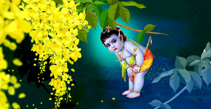 വിഷുവിനു കണിക്കൊന്ന എങ്ങനെ പ്രധാനമായി? | Importance of Kanikonna ...