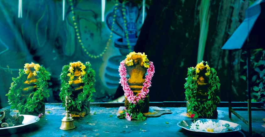 നാഗപ്രീതി വരുത്താൻ നാഗപഞ്ചമി | Nagapanchami| ജ്യോതിഷം | Astrology ...