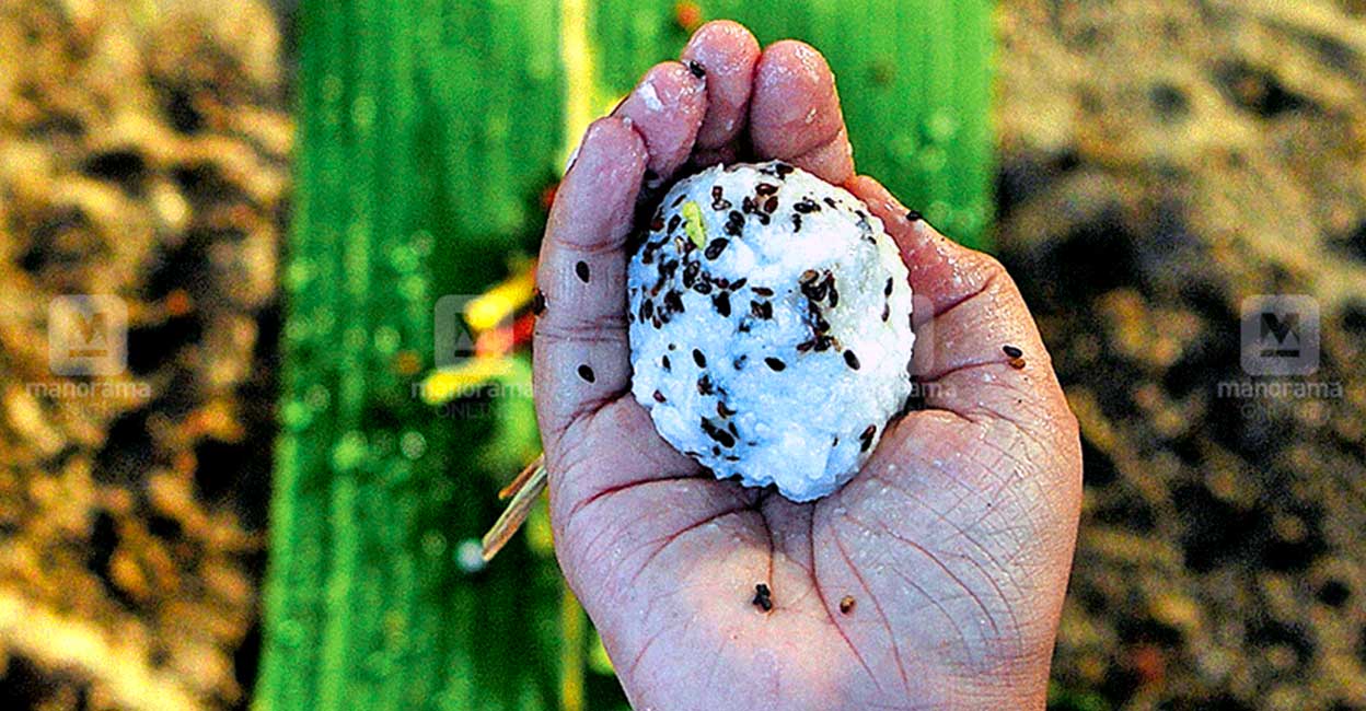 തർപ്പണപുണ്യവുമായി കർക്കടകവാവ് | Vavubali | ജ്യോതിഷം | Astrology ...