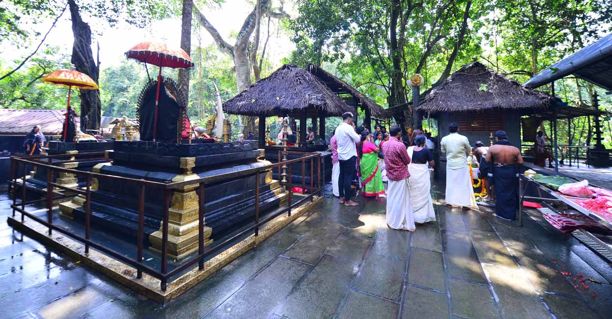 കല്ലേലിക്കാവിലെ ഊരാളിയപ്പൂപ്പൻ ; 24 മണിക്കൂറും പ്രാർഥനയുടെ വാതിലുക ...